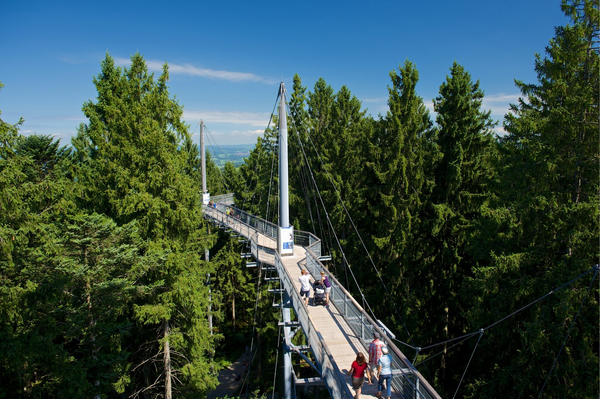 Skywalk Treetop Walk - Waldwelt