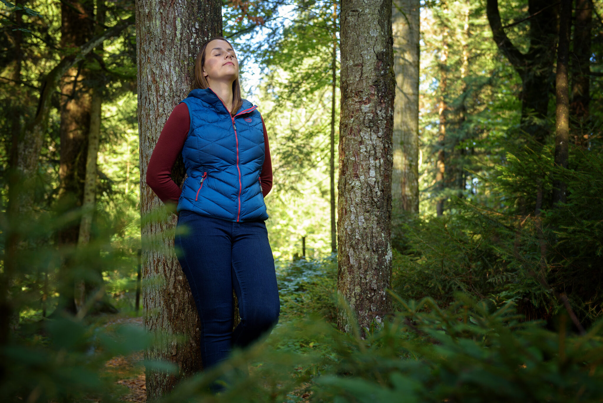Waldbaden - Waldwelt